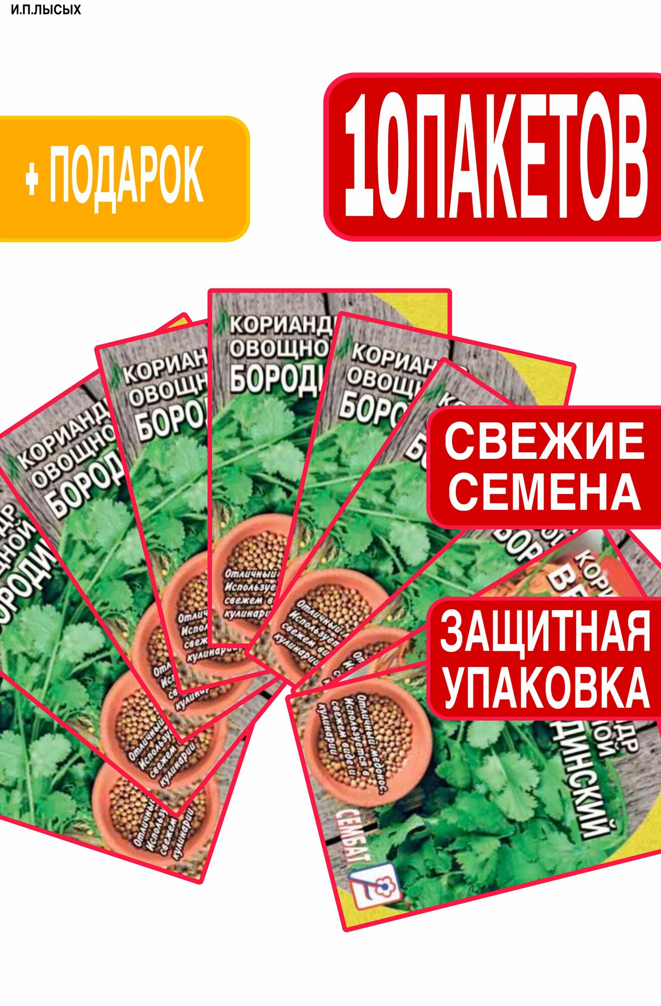 Семена Кориандр "Бородинский"