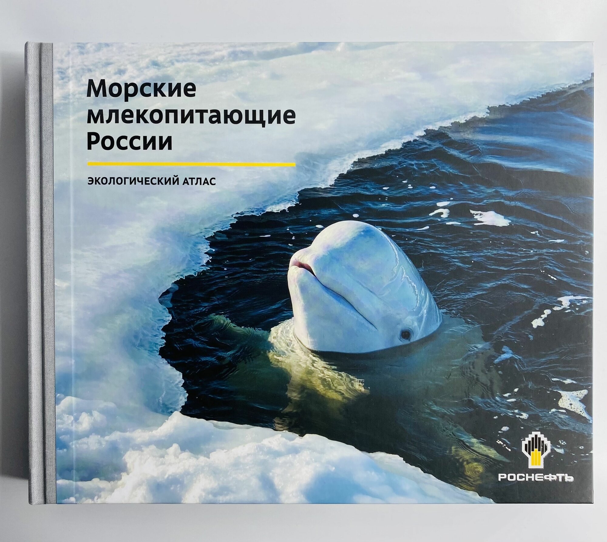 Морские млекопитающие России