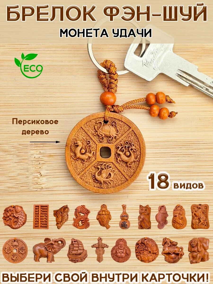 Брелок талисман фэн-шуй Монета