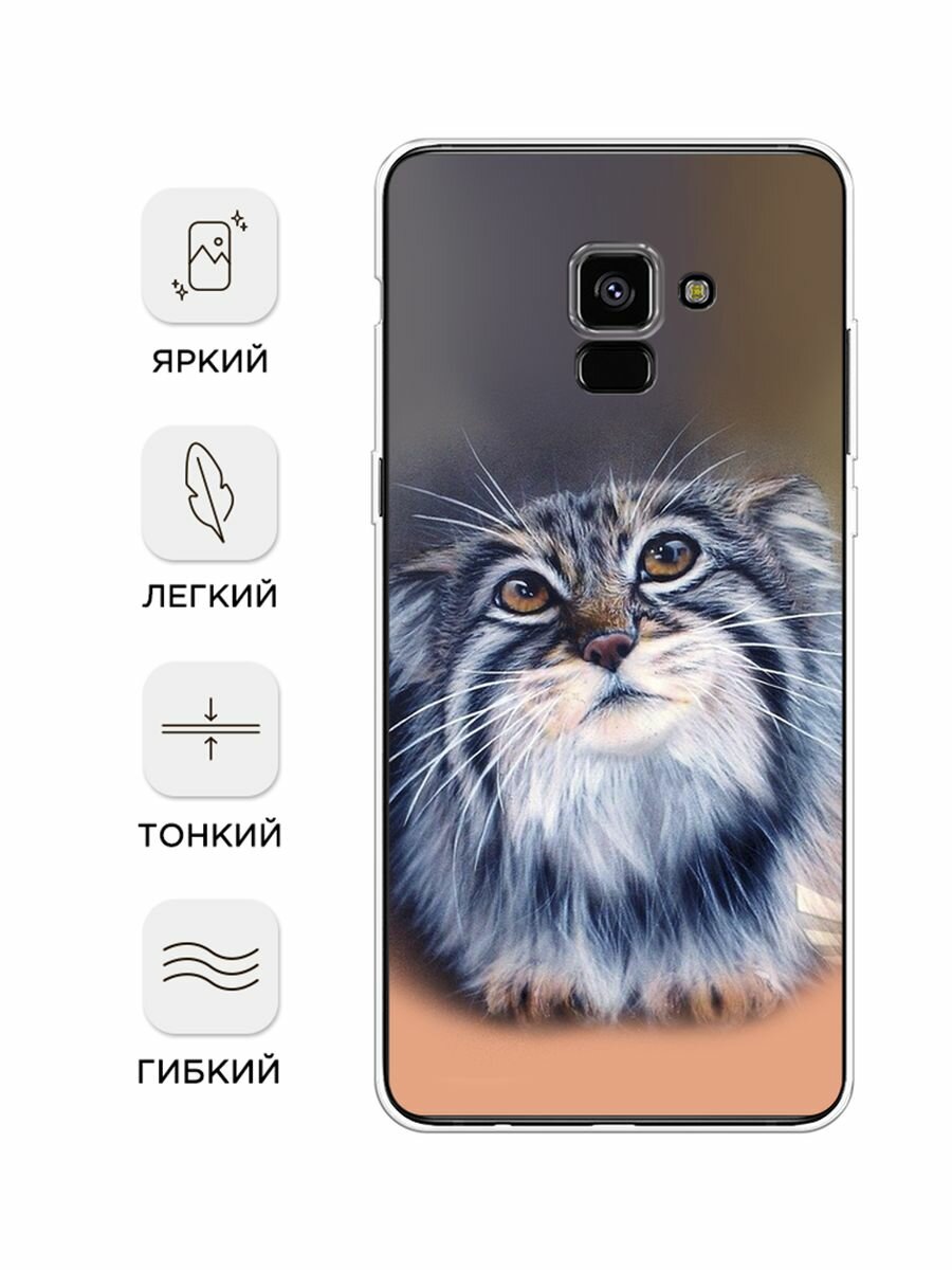 Чехол на Samsung Galaxy A8 + / Самсунг Галакси А8 Плюс 2018 с принтом "Кот манул 2" — фото 1