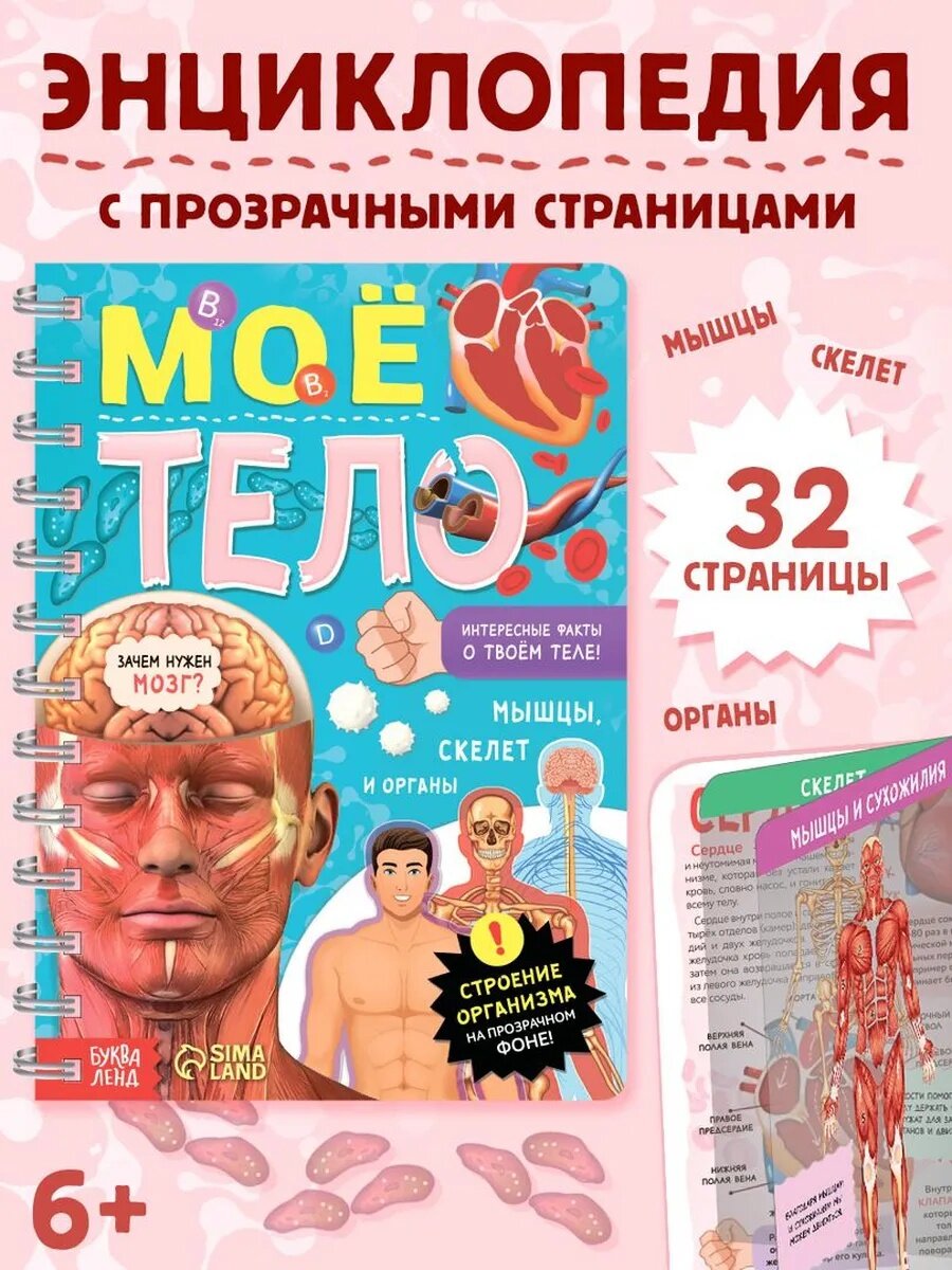 Книга с прозрачными страницами буква-ленд "Моё тело", 32 стр.