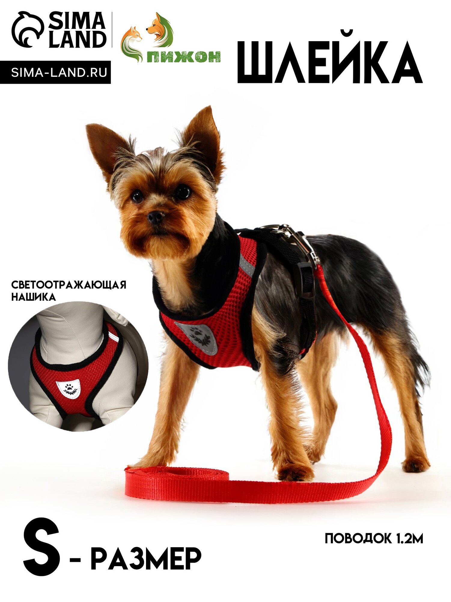 Комплект амуниции со светоотражающей нашивкой, S, ОШ 24 см, ОГ 28-33 см, красный