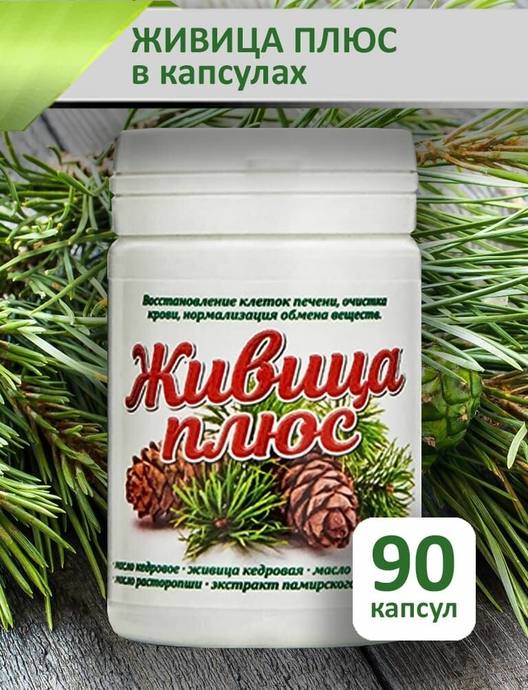 Живица Плюс в капсулах, 90 Шт для очищения организма, Кедровый мир -1 уп
