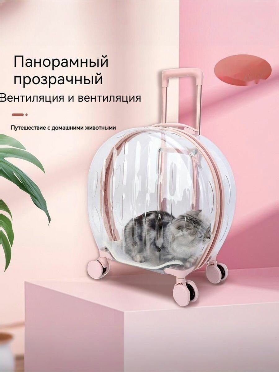 Переноска для кошек