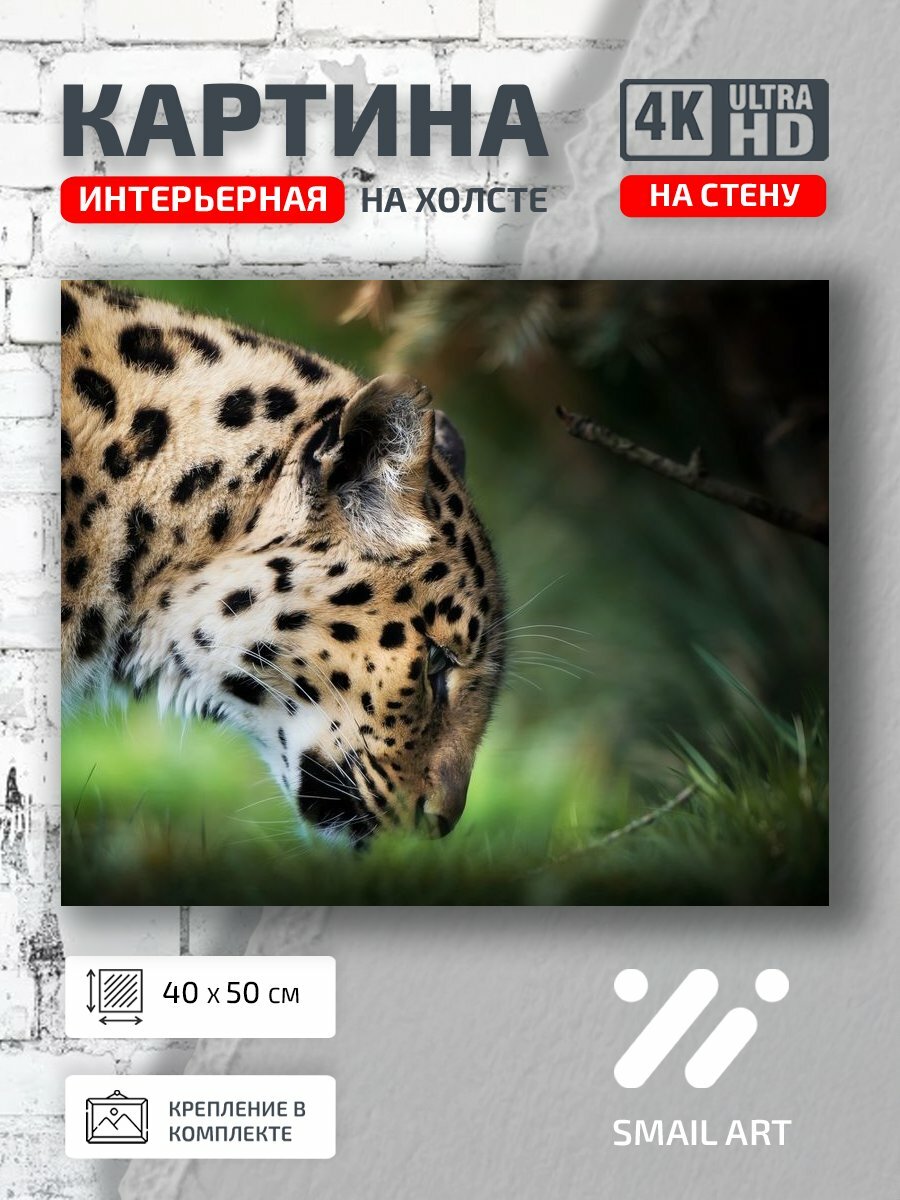 Картина на холсте интерьерная 40 на 50 на стену Ягуар Landscape для кабинета пейзаж декор