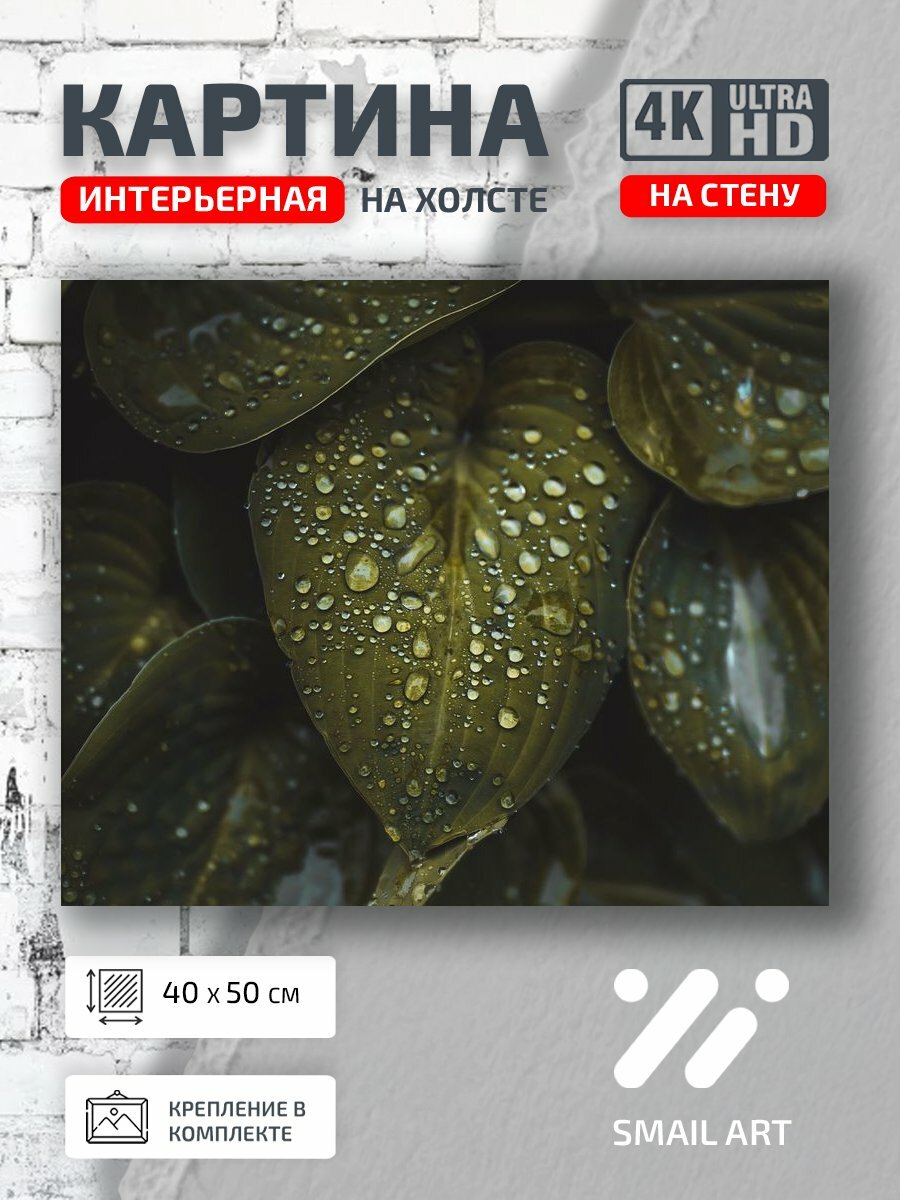 Картина на холсте интерьерная 40 на 50 на стену Большие Landscape для спальни пейзаж декор