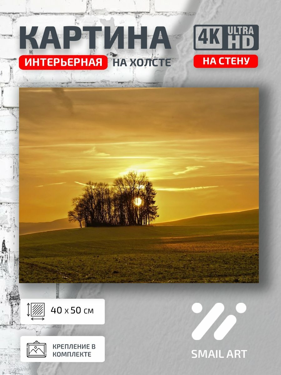Картина на холсте интерьерная 40 на 50 на стену Степь Landscape для спальни пейзаж интерьер