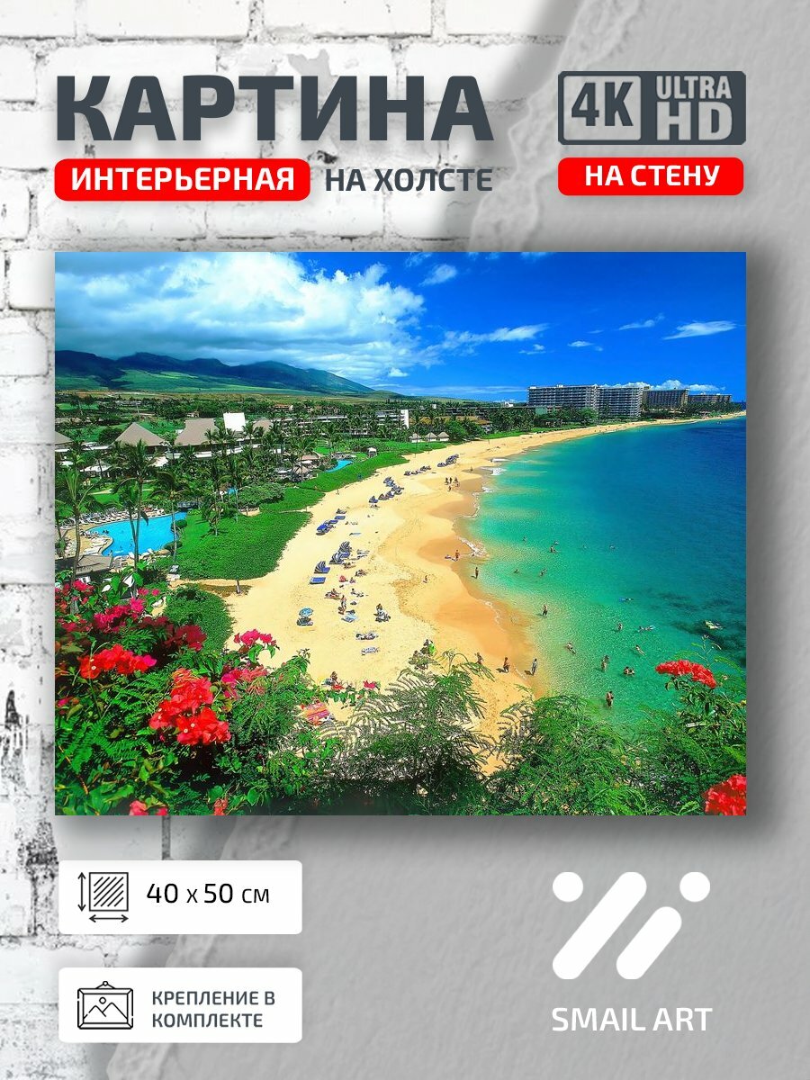 Картина на холсте интерьерная 40 на 50 на стену Гаваи Hawaii для спальни пейзаж интерьер