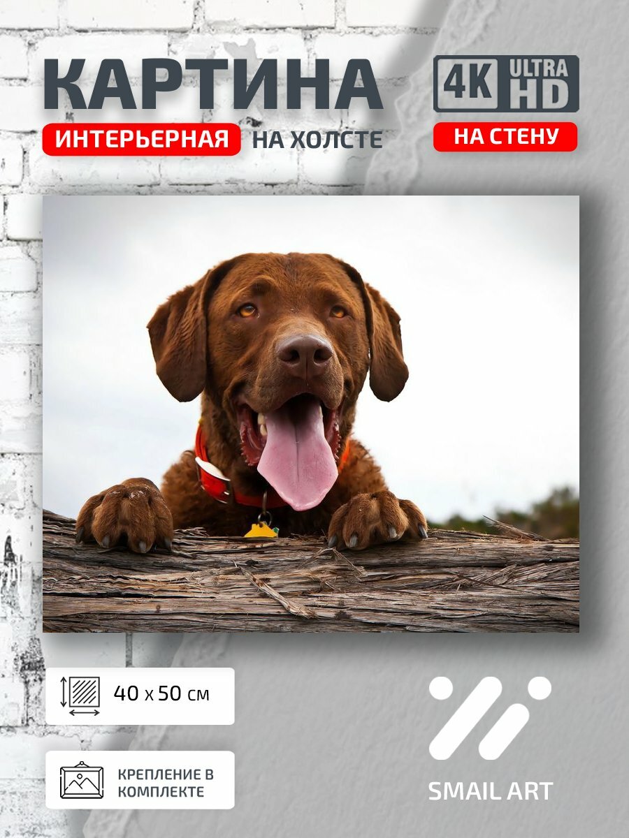 Картина на холсте интерьерная 40 на 50 на стену Бревне Animal для кафе animal style декор