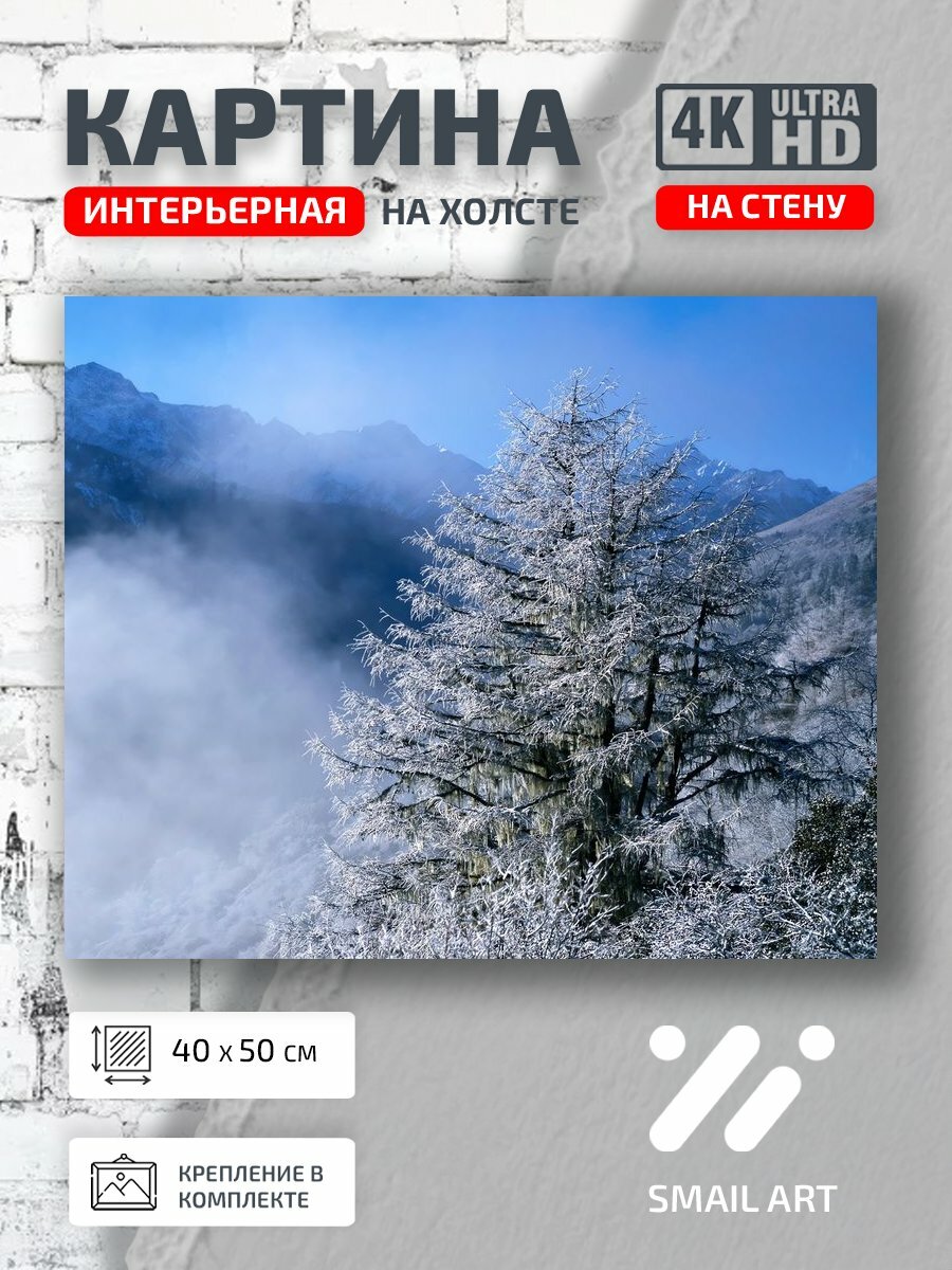 Картина на холсте интерьерная 40 на 50 на стену Зима Landscape для кабинета пейзаж интерьер