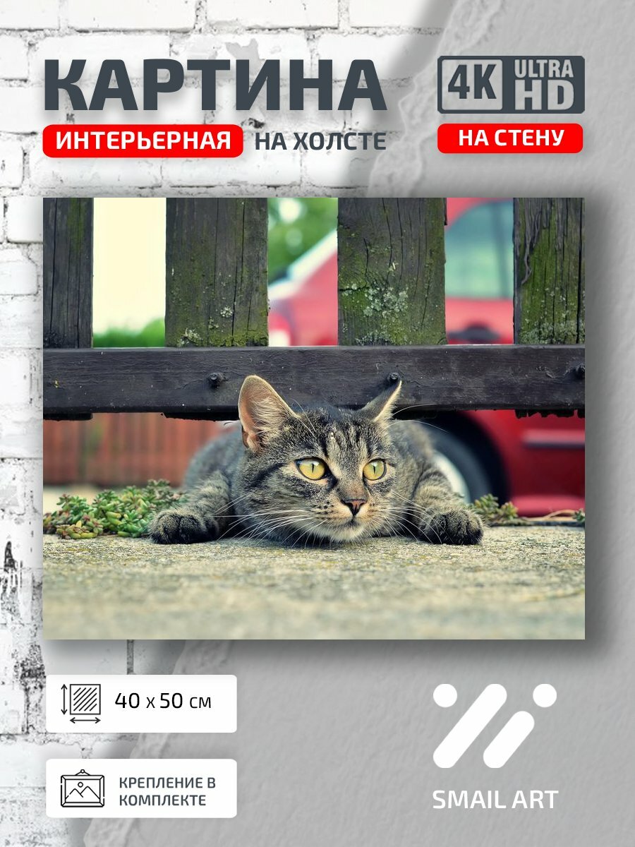 Картина на холсте интерьерная 40 на 50 на стену Забором Animal для детской animal style