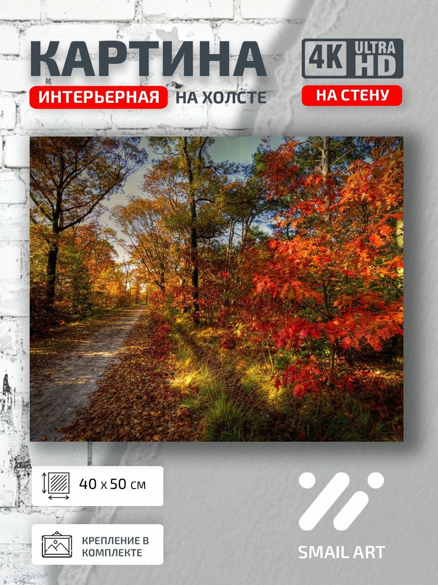 Картина на холсте интерьерная 40 на 50 на стену Осень Landscape для офиса пейзаж интерьер