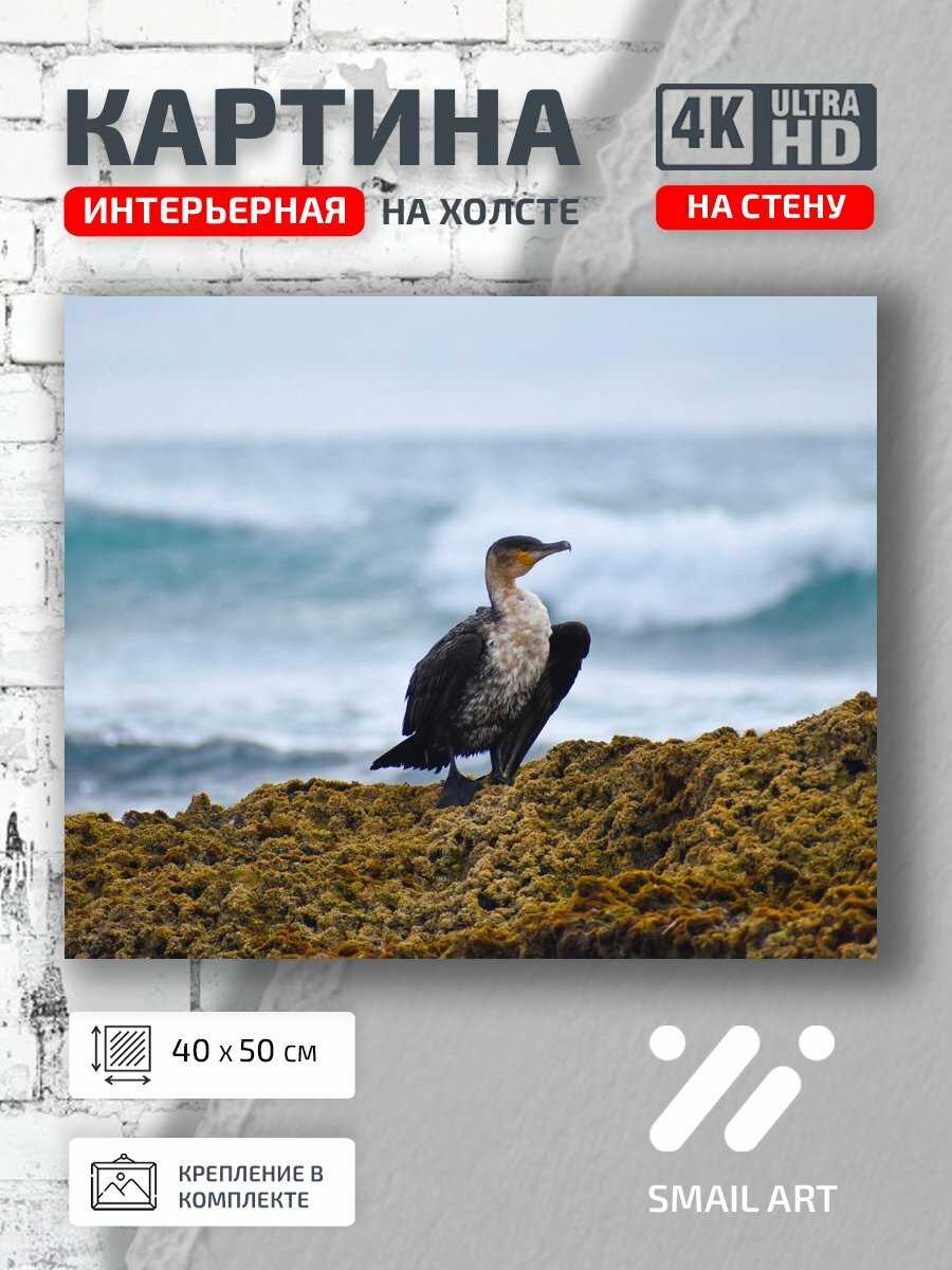 Картина на холсте интерьерная 40 на 50 на стену Песок Animal для детской animal style декор