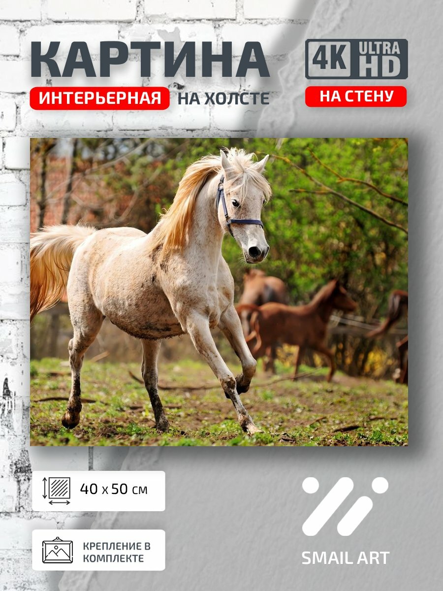 Картина на холсте интерьерная 40 на 50 на стену Лошадь Animal для кабинета animal style