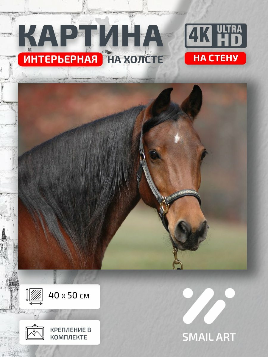 Картина на холсте интерьерная 40 на 50 на стену Гривой Animal для кафе animal style декор