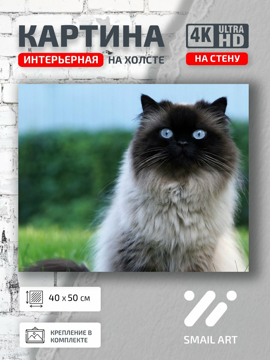 Картина на холсте интерьерная 40 на 50 на стену Шерсть Animal для детской animal style