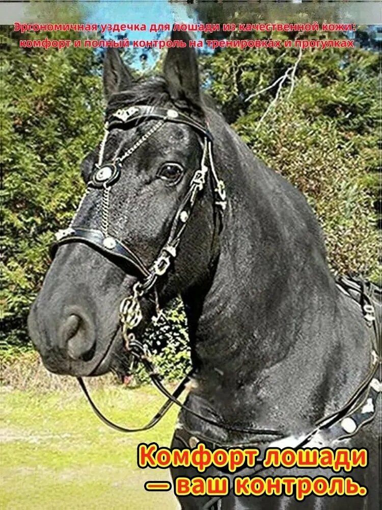 Уздечка для лошади кожаная, эргономичная, регулируемое оголовье для верховой езды, тренировок и выездки
