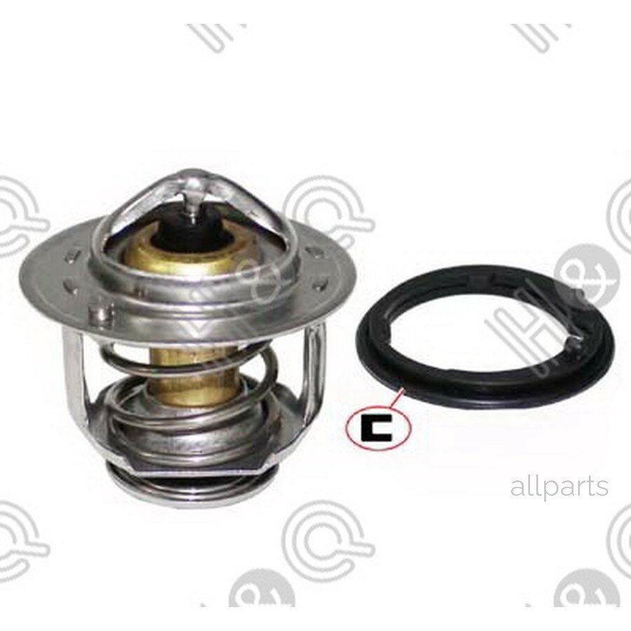 H&Q 5010H102 Термостат