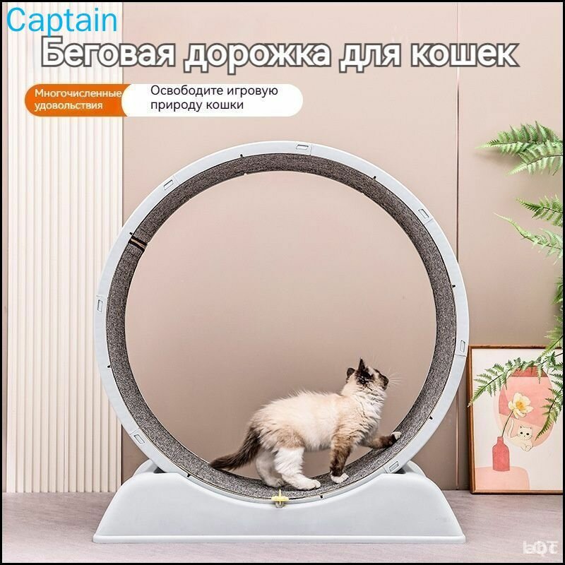 Бестселлер 80 см: беговая дорожка для активных кошек, игрушки