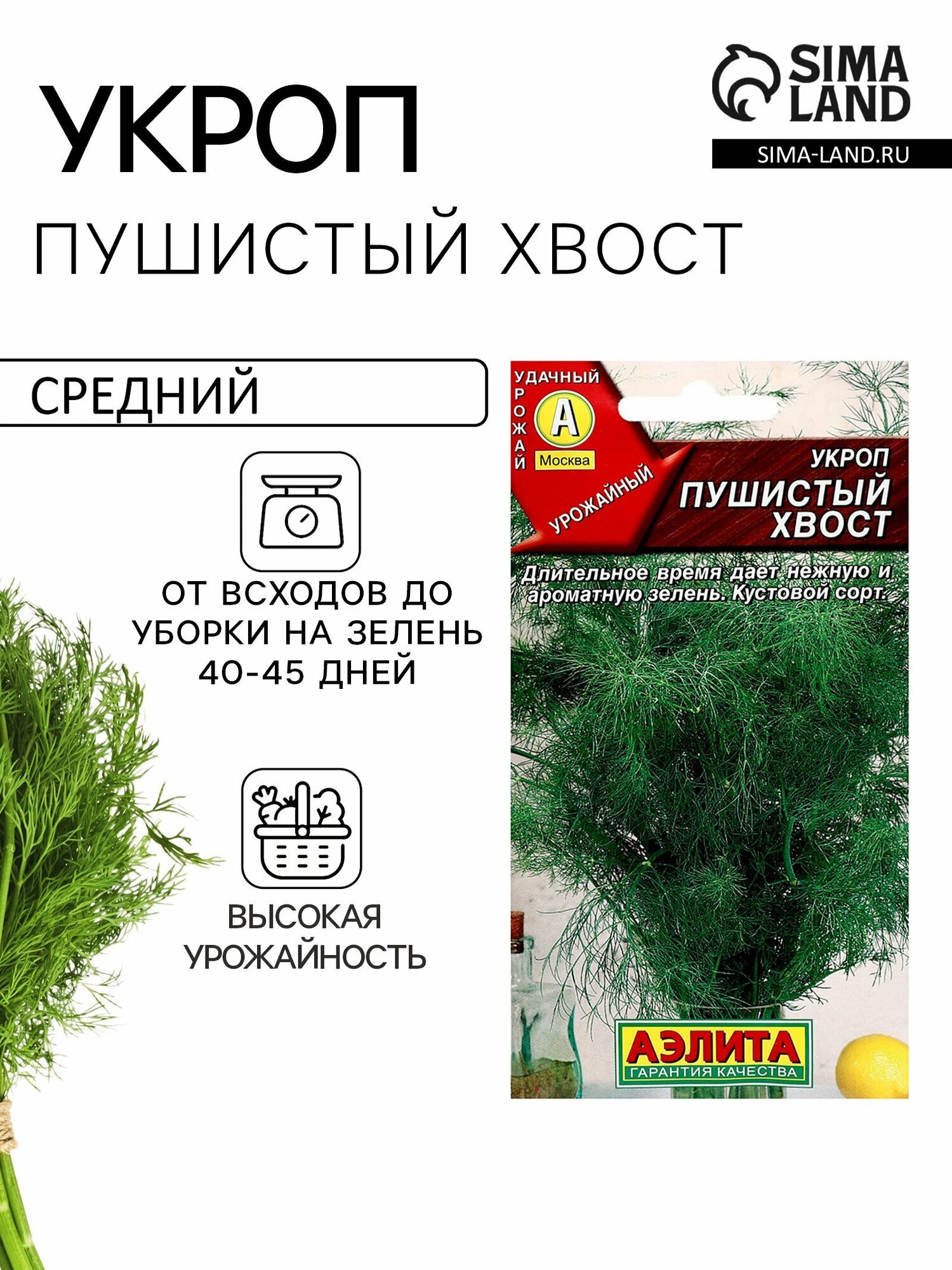 Семена Укроп «Пушистый хвост», 3 г