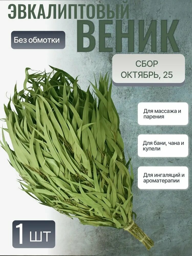 Веник для бани Эвкалиптовый, 1 шт.