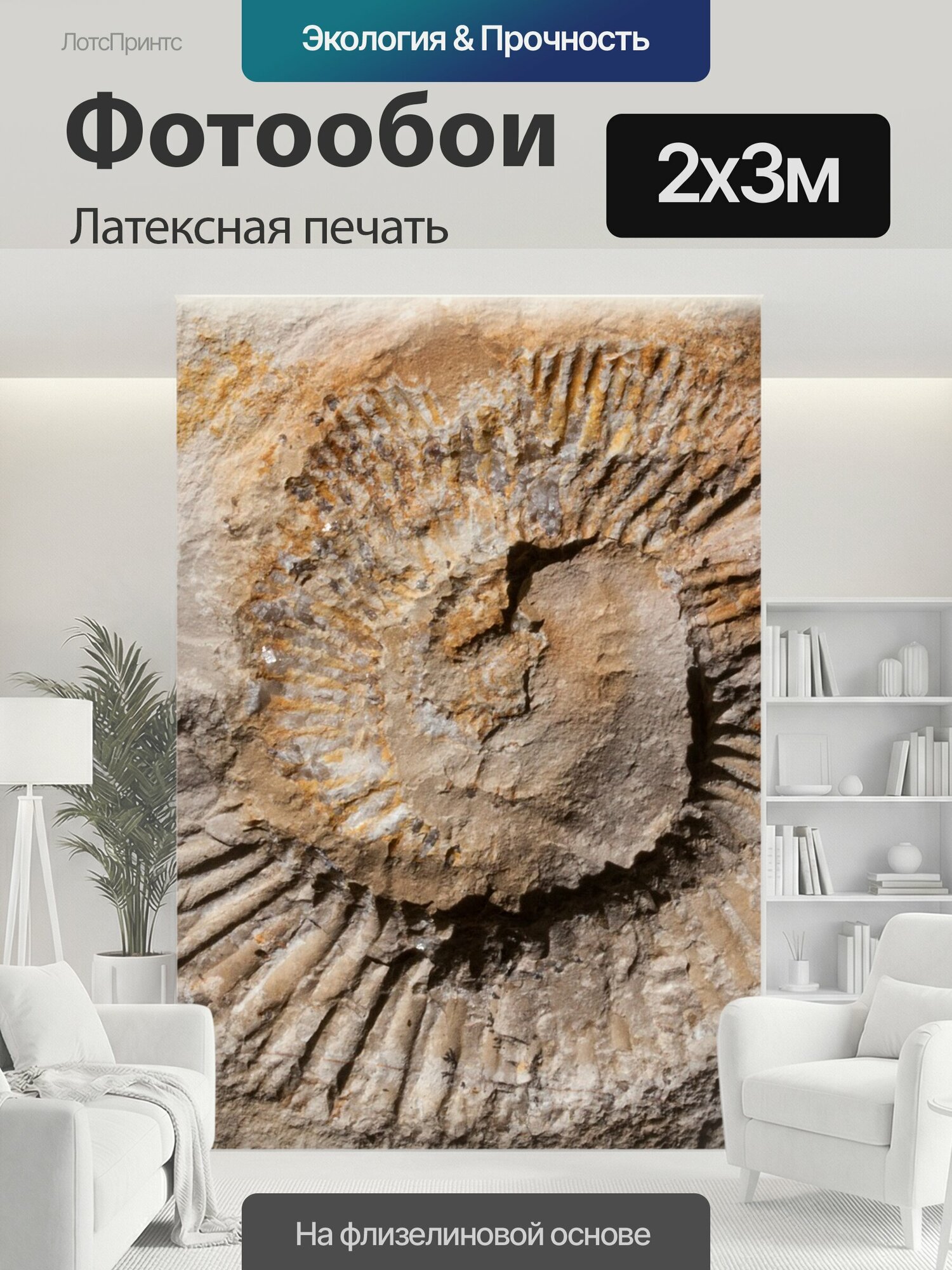 Фотообои моющиеся ударопрочные "Аммонит, аммоноидеи, вымерший" 200x300 см. латексная печать