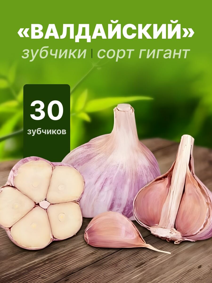 Зубчики чеснока на посадку "Валдайский" 30шт