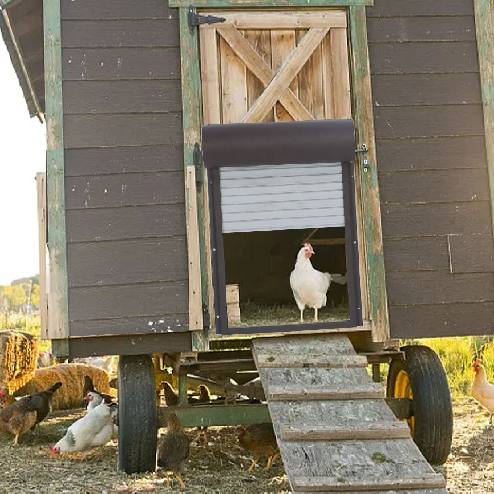 Автоматическая дверь курятника с датчиком света и таймером, пульт дистанционного управления Дверца курятника 3 в 1 для племенной фермы 100–240 В Коричневая вилка AU 100–240 В