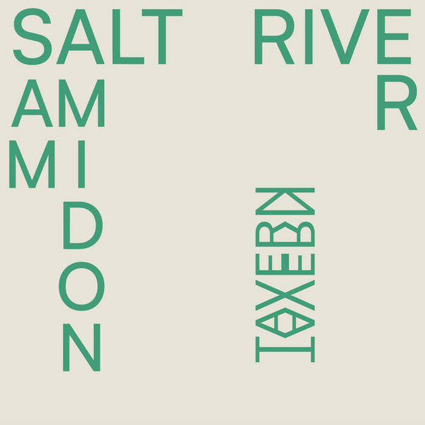 SAM AMIDON Salt River (Виниловая пластинка)