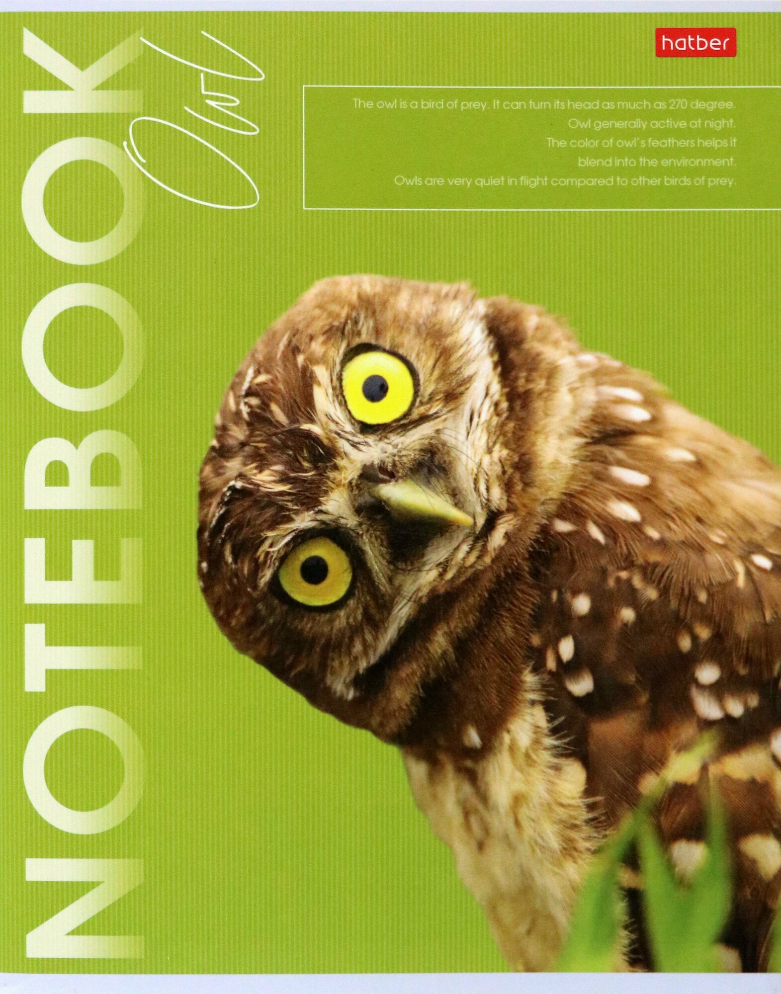 Тетрадь Дикие и свободные, 80 листов, клетка, в ассортименте