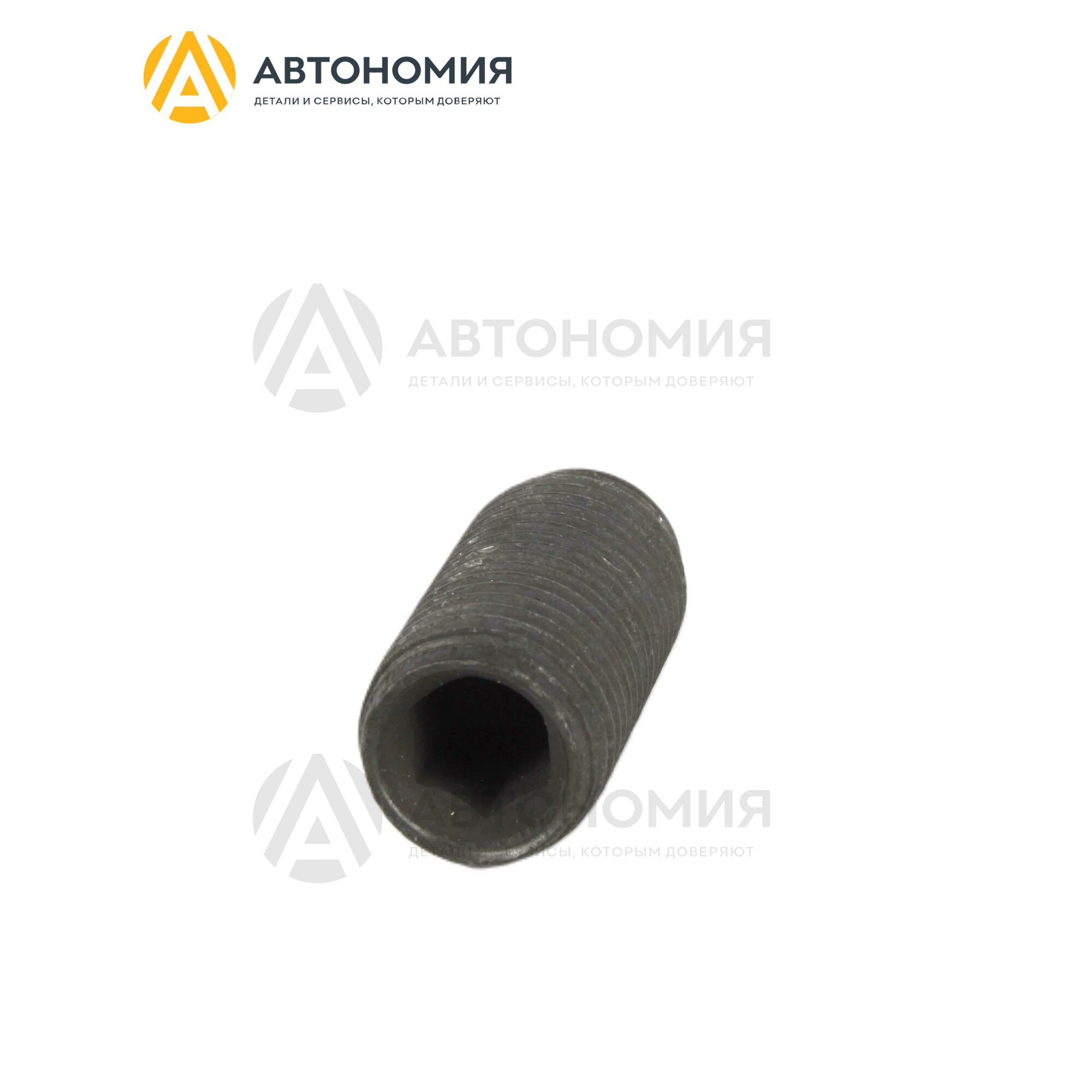 Болт регулировочный M12x1,25x26,75 VAG WHT 000 530