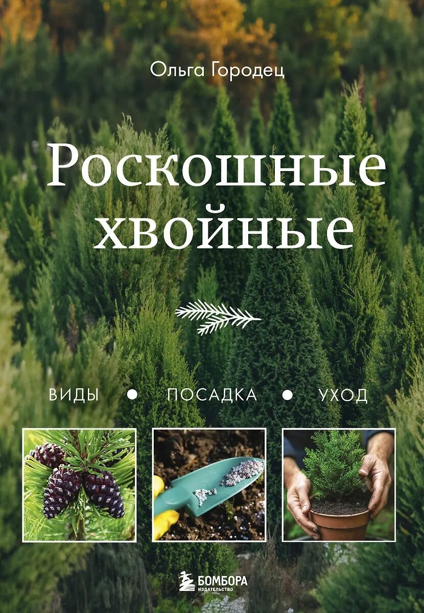 Книга ЭКСМО Роскошные хвойные. Виды, посадка, уход, Городец О. В, 2024 год, твердая обложка, 96 стр