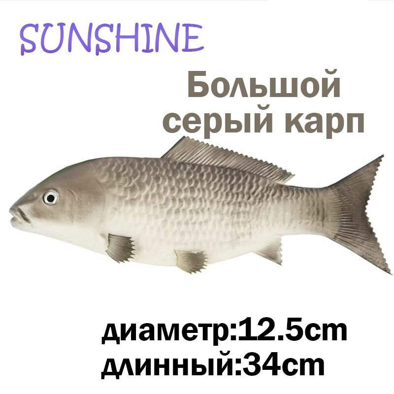 Муляж