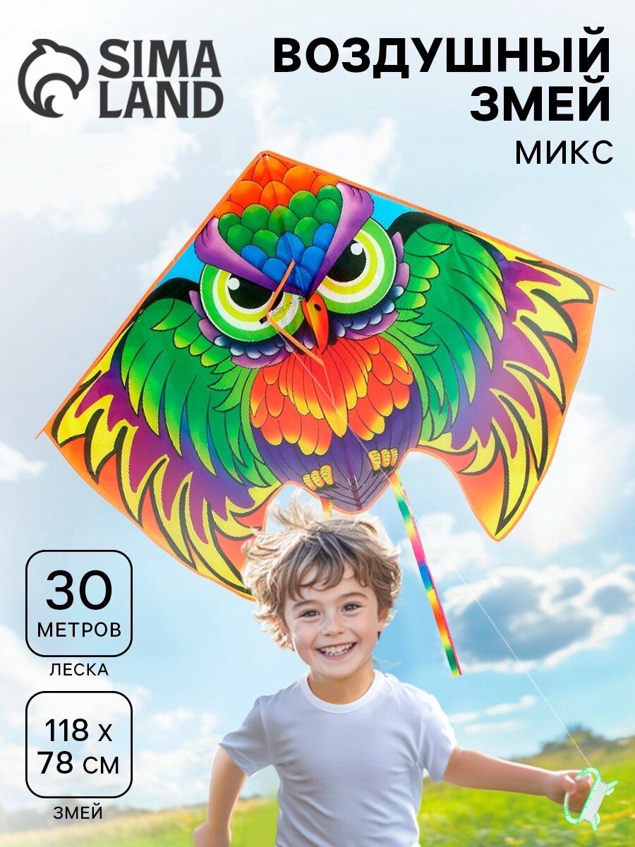 Воздушный змей "Сова", от 3 лет, длина лески 30 м, цвет микс