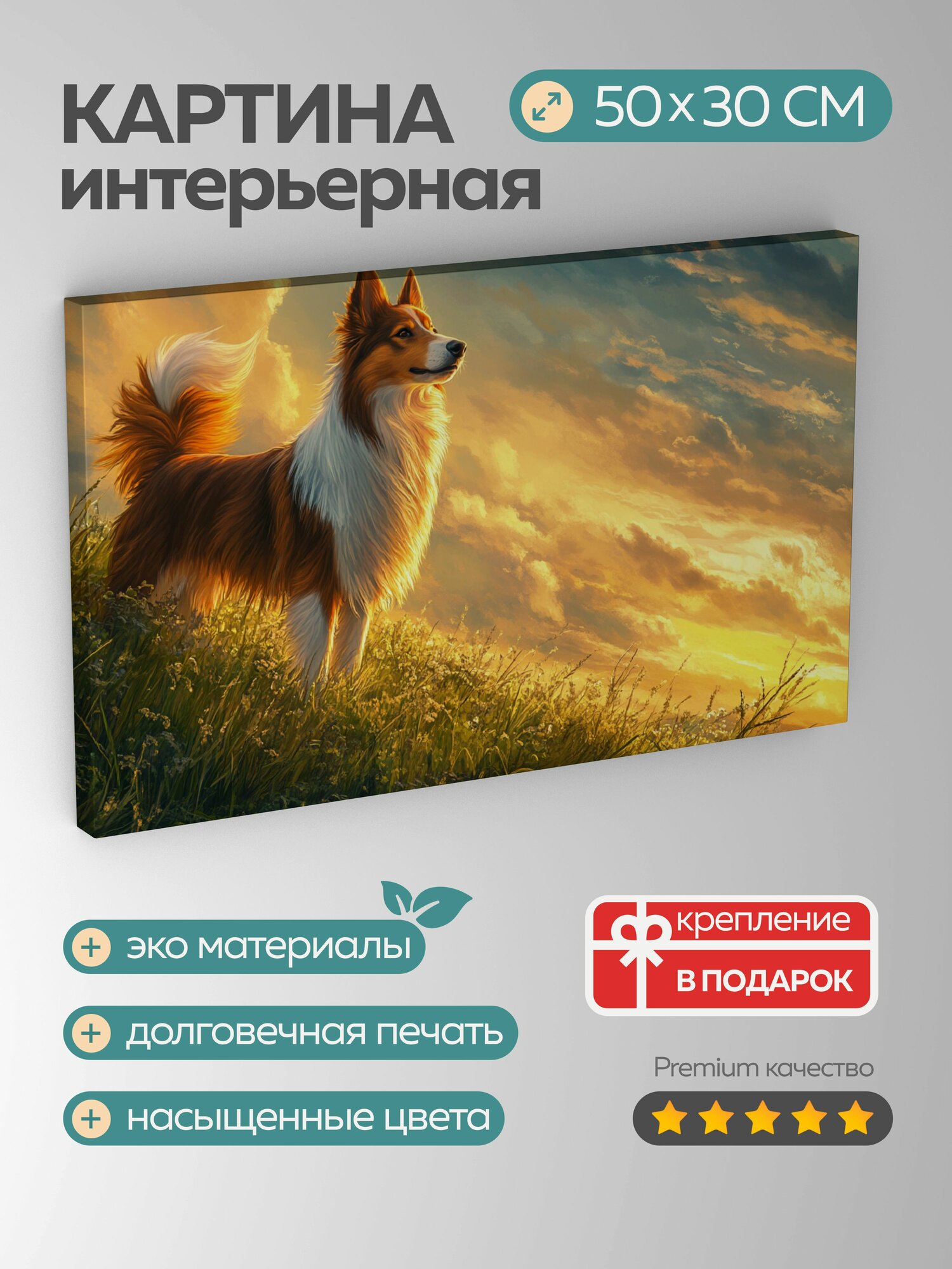 Картина на холсте интерьерная 50х30 см, колли, луг, глаза, преданность, закат, пейзаж, цифровая картина, зеленый