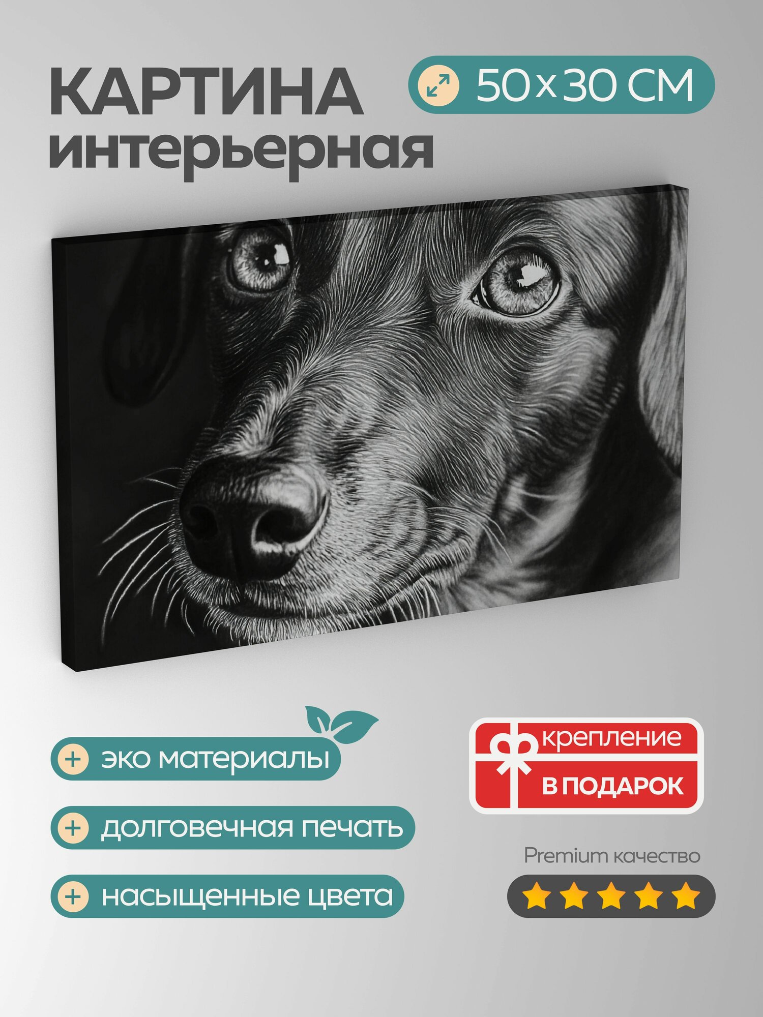 Картина на холсте интерьерная 50х30 см, уголь, такса, глаза, текстура меха, эмоции, взгляд, рисунок, масштаб 5:3