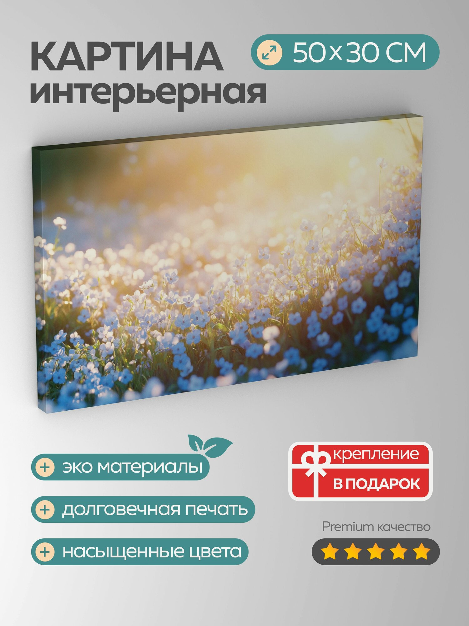 Картина на холсте интерьерная 50х30 см, незабудки, поле, золотой час, солнечный свет, нежные цветы, умиротворение, 5:3