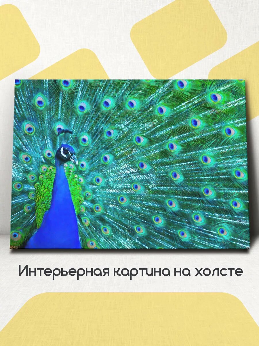 Картина на стену интерьерная Изумрудный веер павлин 60x45 см