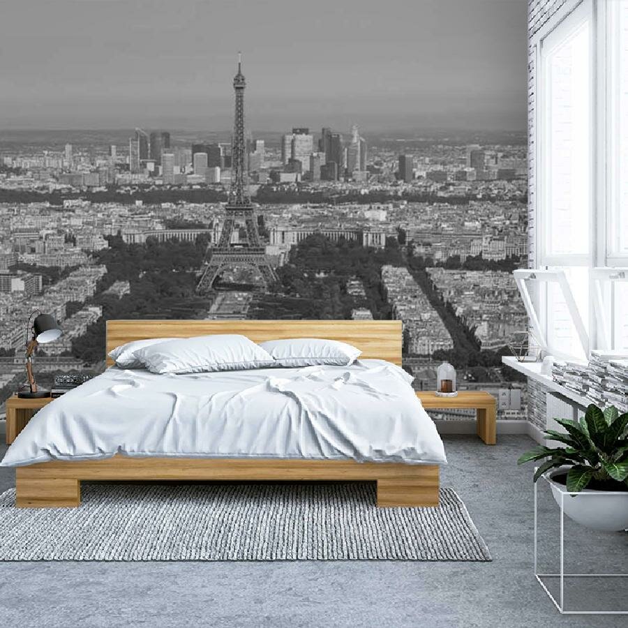 Фотообои Вид Парижа сверху черно белый 9-721-S-Флок 270 x 200 см (ВхШ) Бесшовные, флизелиновые, влагостойкие обои MasterFresok