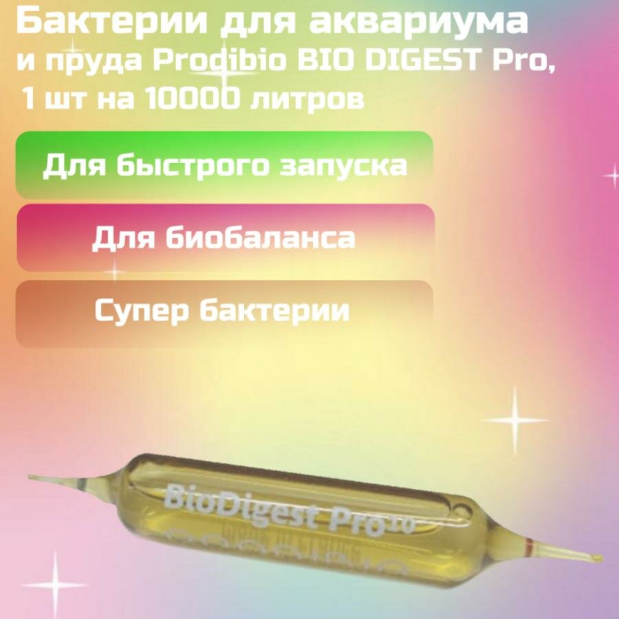 Бактерии для аквариума и пруда Prodibio BIO DIGEST Pro, 1 шт на 10000 литров