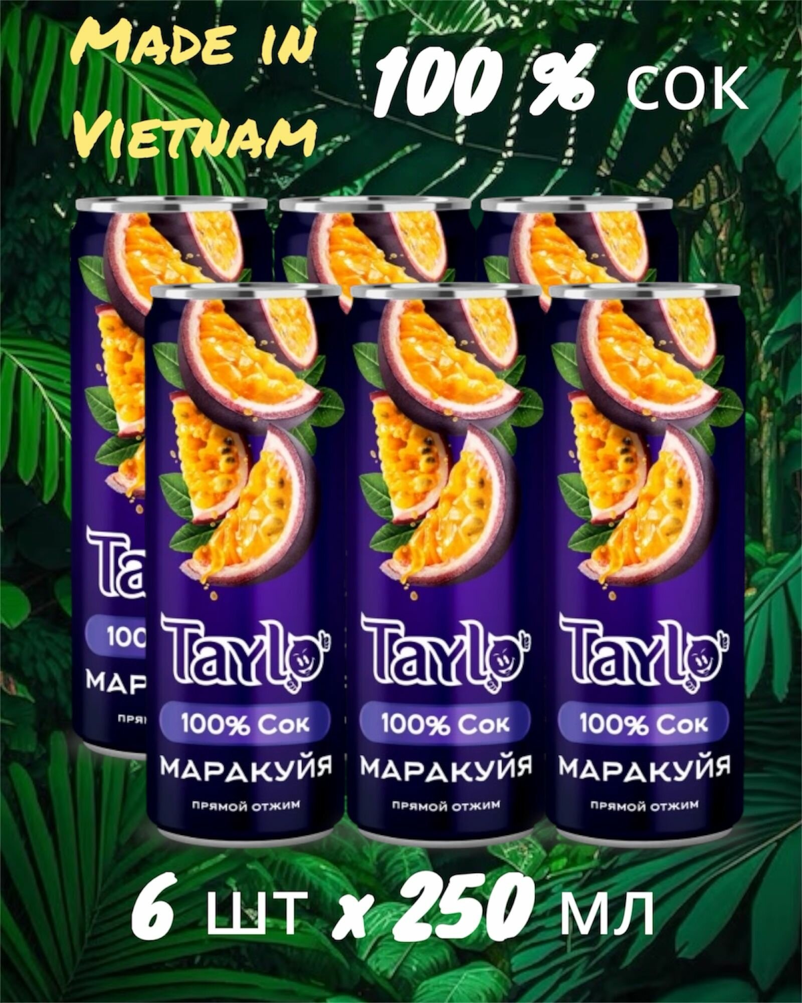 Сок маракуйя 100% прямого отжима TAYLO Тайло, 6 шт по 250 мл, Вьетнам