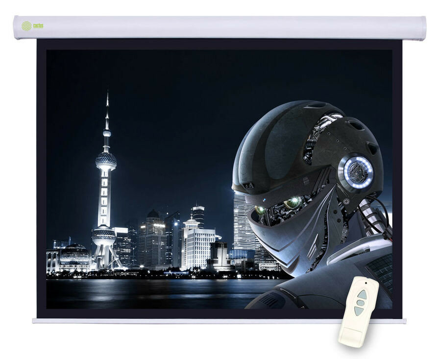 Экран для проектора Cactus Motoscreen CS-PSM-124x221