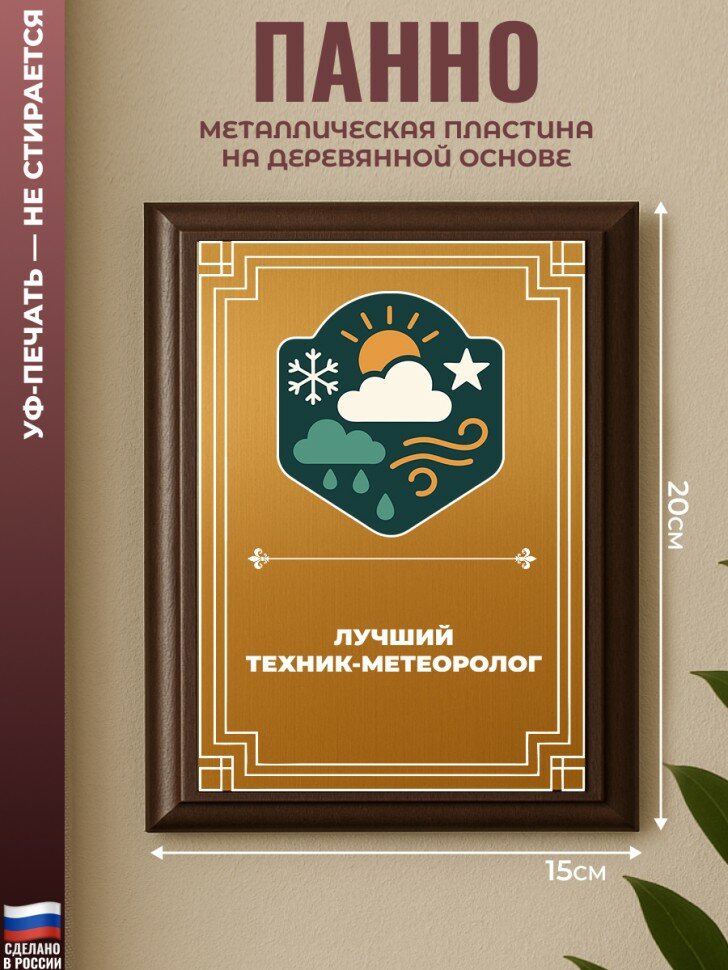 Настенный диплом "Лучший техник-метеоролог" Синоптику Синоптику