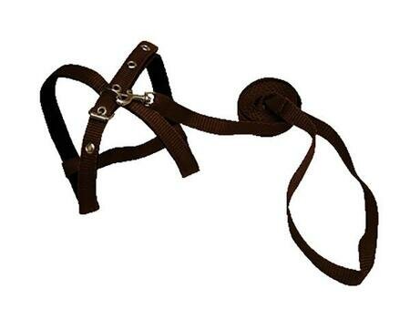 Зооник 14 мм стропа комплект поводок + шлейка для кошек 10 шт