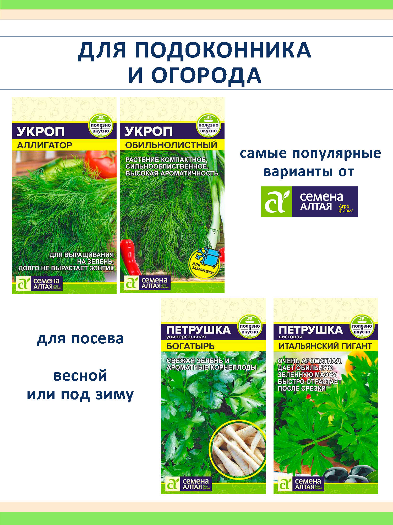 Набор семян укропа и петрушки: Аллигатор, Обильнолистный, Итальянский гигант, Богатырь, #1