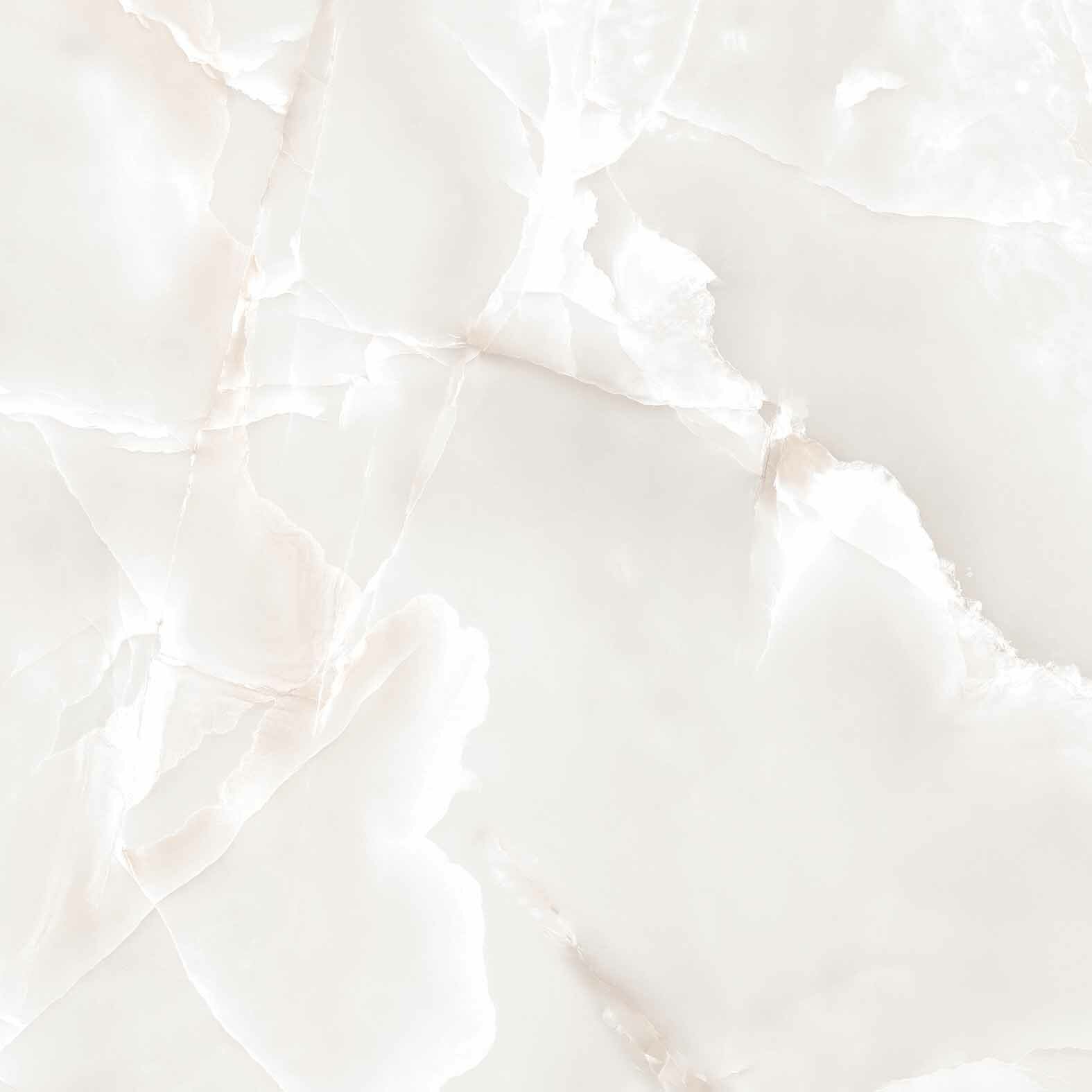 Керамогранит Arcadia Ceramica PRIMO ONYX GREY 600 × 600 мм Поверхность: Матовая (цена за 1 плитку -0,36 м2)