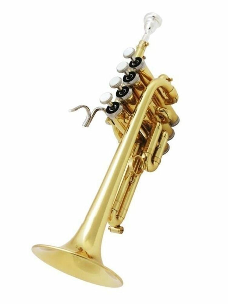 Пикколо-труба B /A классическая, для музыки барокко, в комплекте