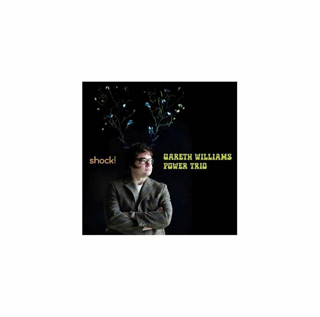 Диск Gareth Williams (geb. 1968) - Shock! (1 CD)