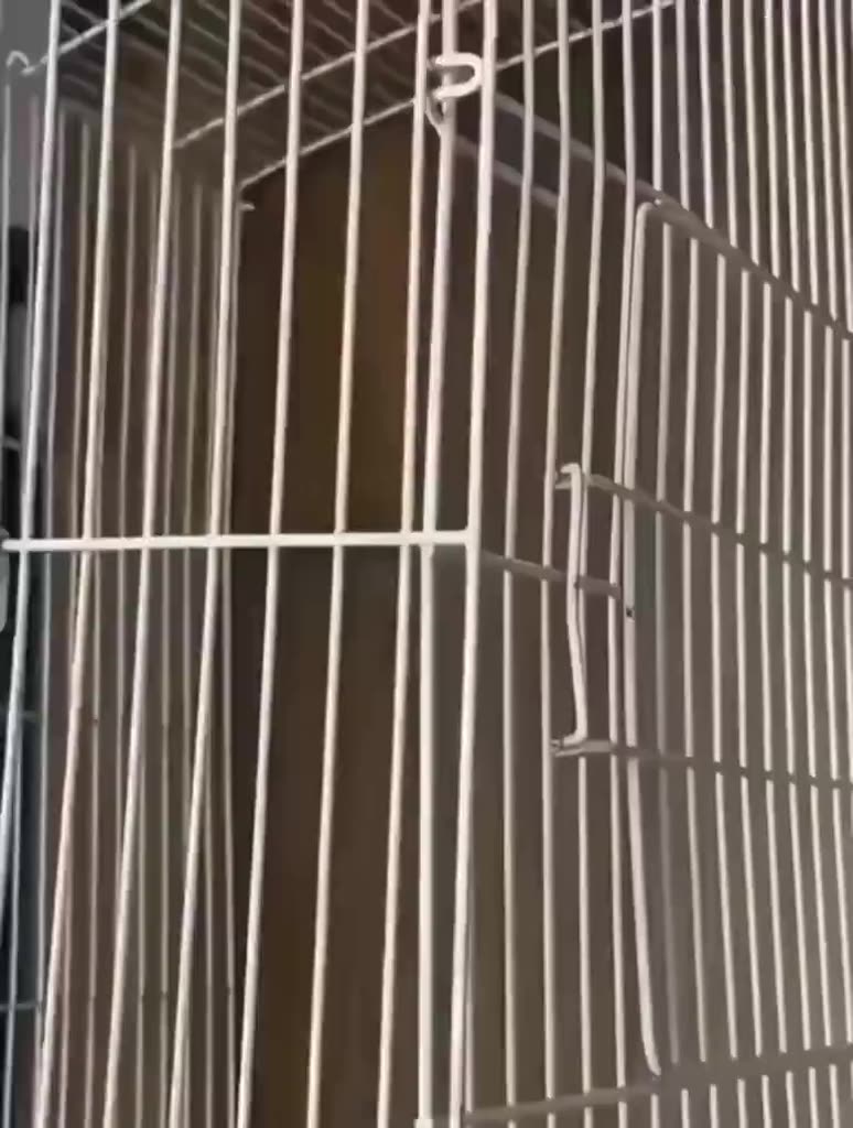 Клетка для животных — фото 1