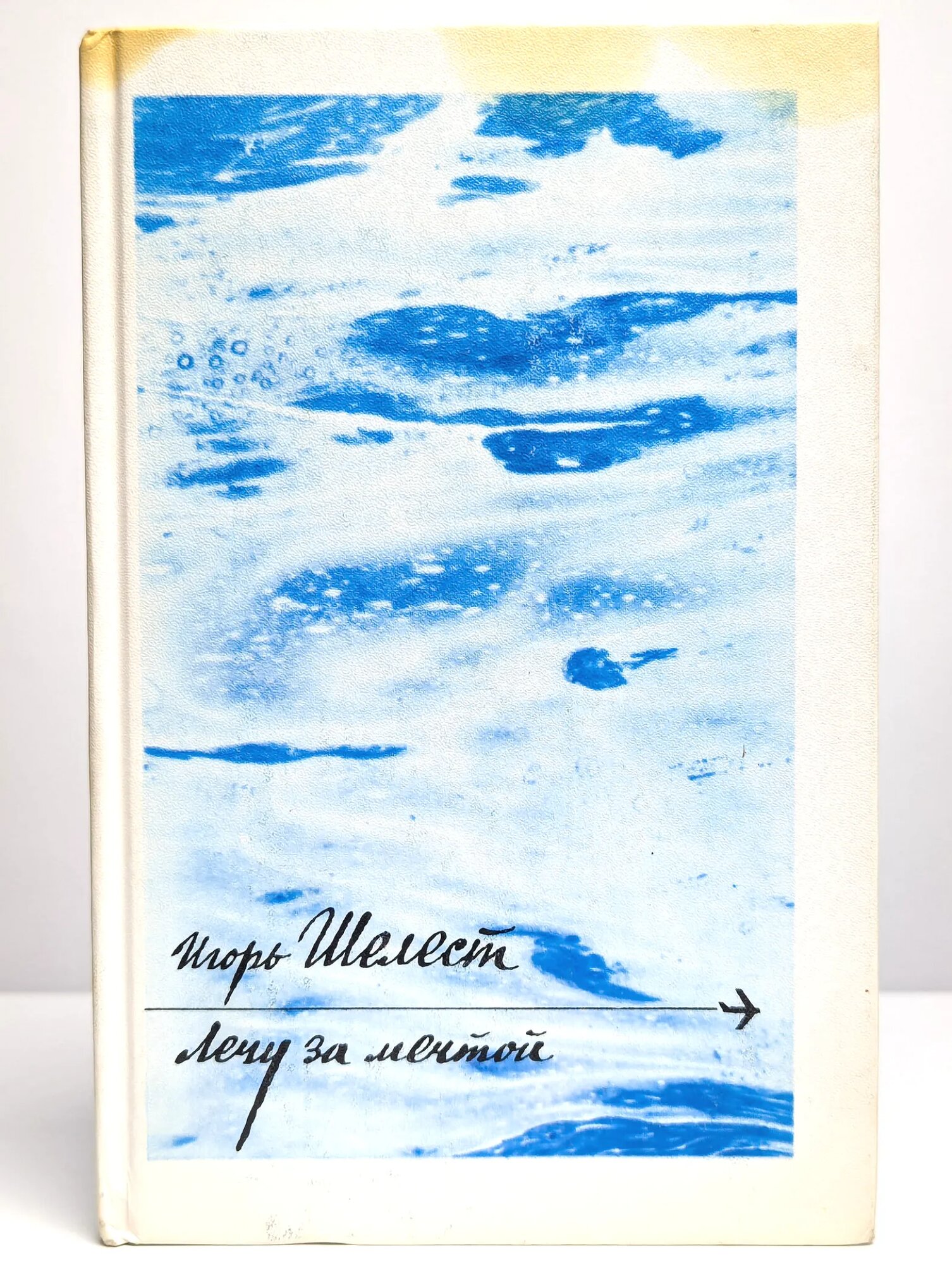Лечу за мечтой Шелест Игорь Иванович 1989